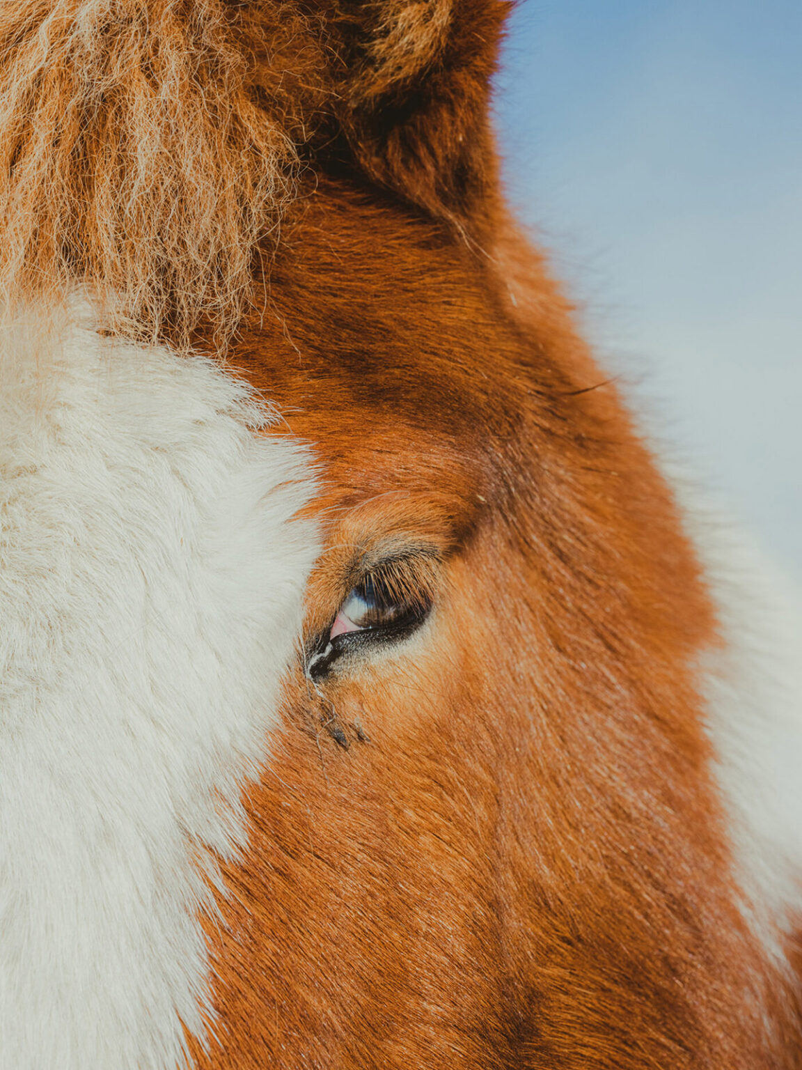 Photographer Spotlight: Kurt Bauer – BOOOOOOOM! – CREATE * INSPIRE ...