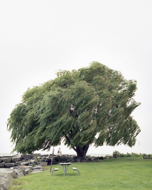 "Velleity" by Photographer Yiyun Chen