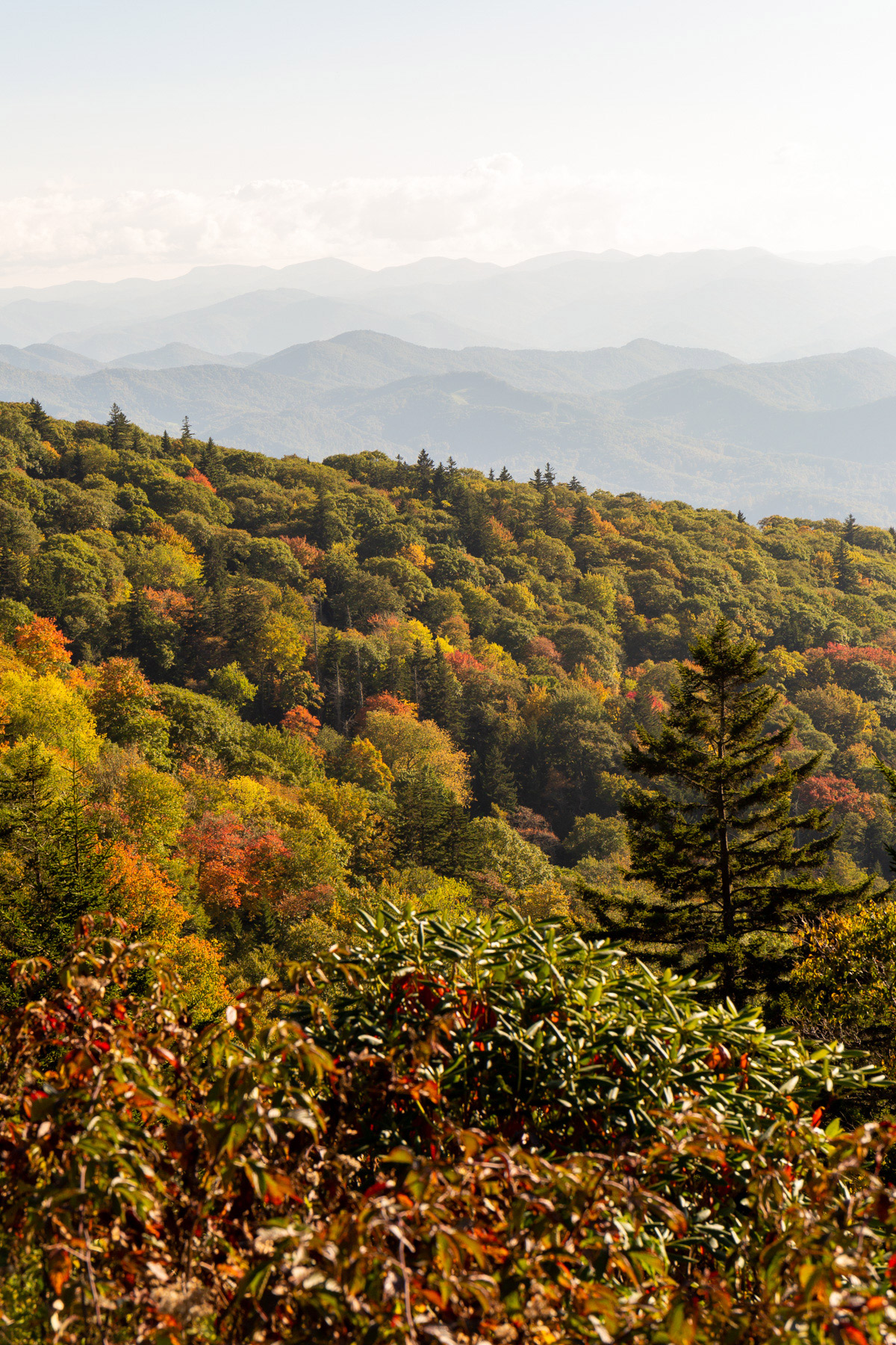 Photographer Spotlight: Robert Grand | The Heart of Design and Art