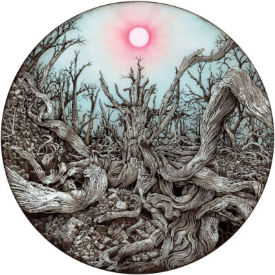 "Methuselah" by Artist Rachael Pease