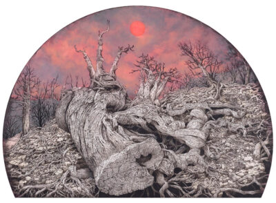 "Methuselah" by Artist Rachael Pease