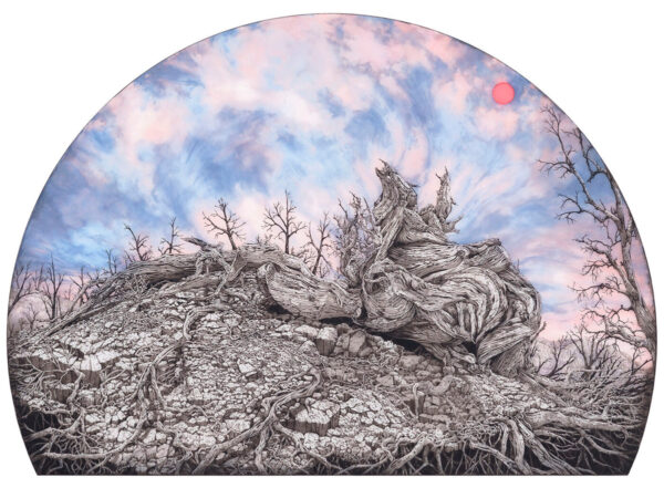 "Methuselah" by Artist Rachael Pease