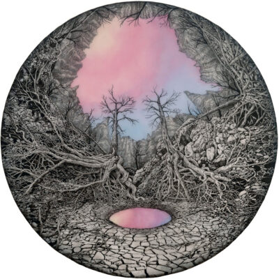 "Methuselah" by Artist Rachael Pease
