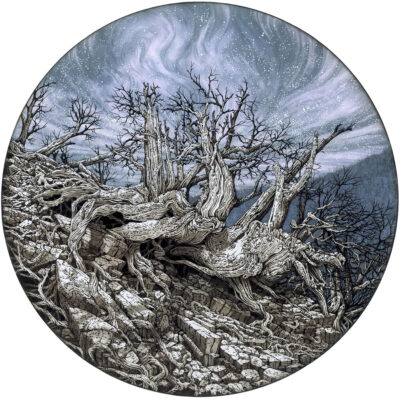 "Methuselah" by Artist Rachael Pease