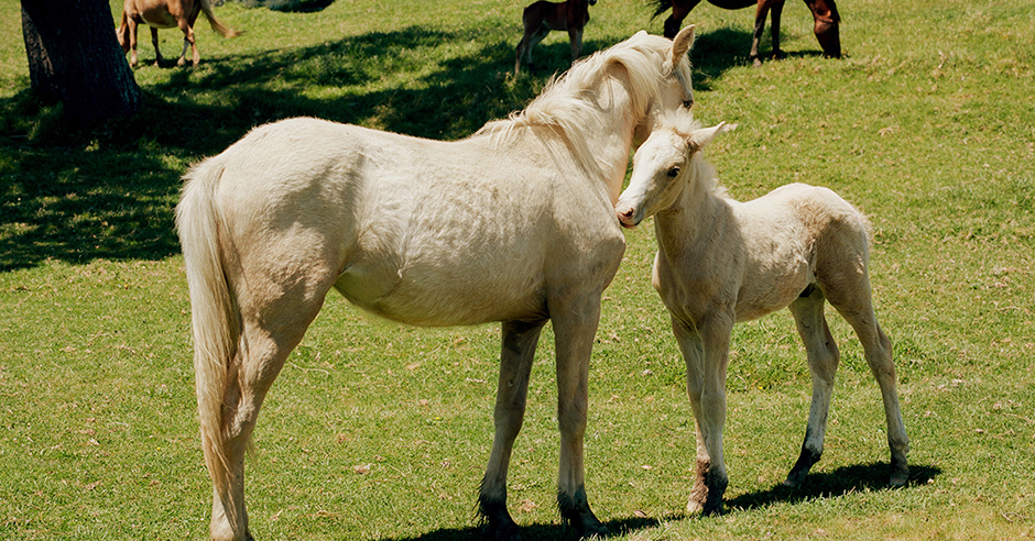 "Circadian Rhythm" by Photographer Derek Henderson