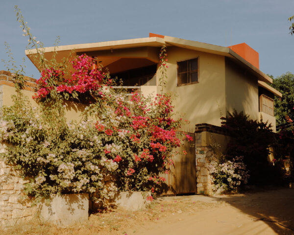 "The Boy and the Frigatebird" by Photographer Joshua Atkins