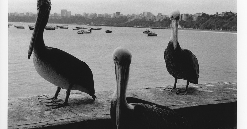 Photographer Spotlight: Alvaro Arteche Gutiérrez – BOOOOOOOM! – CREATE ...