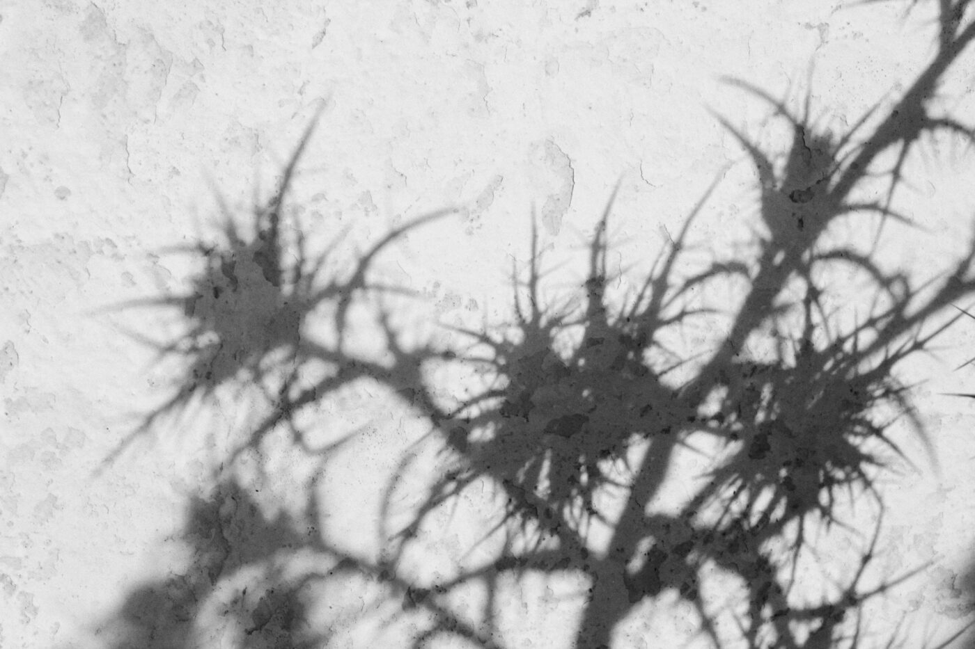 Cover the light with the sun – BOOOOOOOM! – CREATE * INSPIRE ...