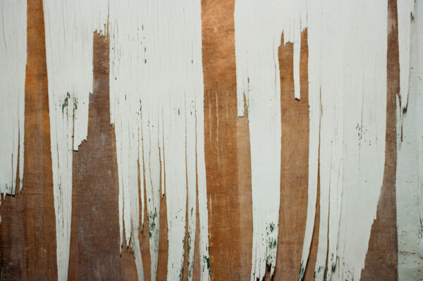 "Crystal Sands" by Photographer Lorena Lohr