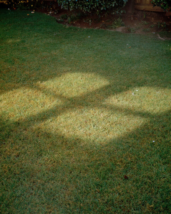 "In Order To Bloom" by Photographer Laura Foster