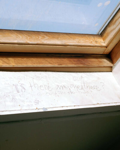 "In Order To Bloom" by Photographer Laura Foster