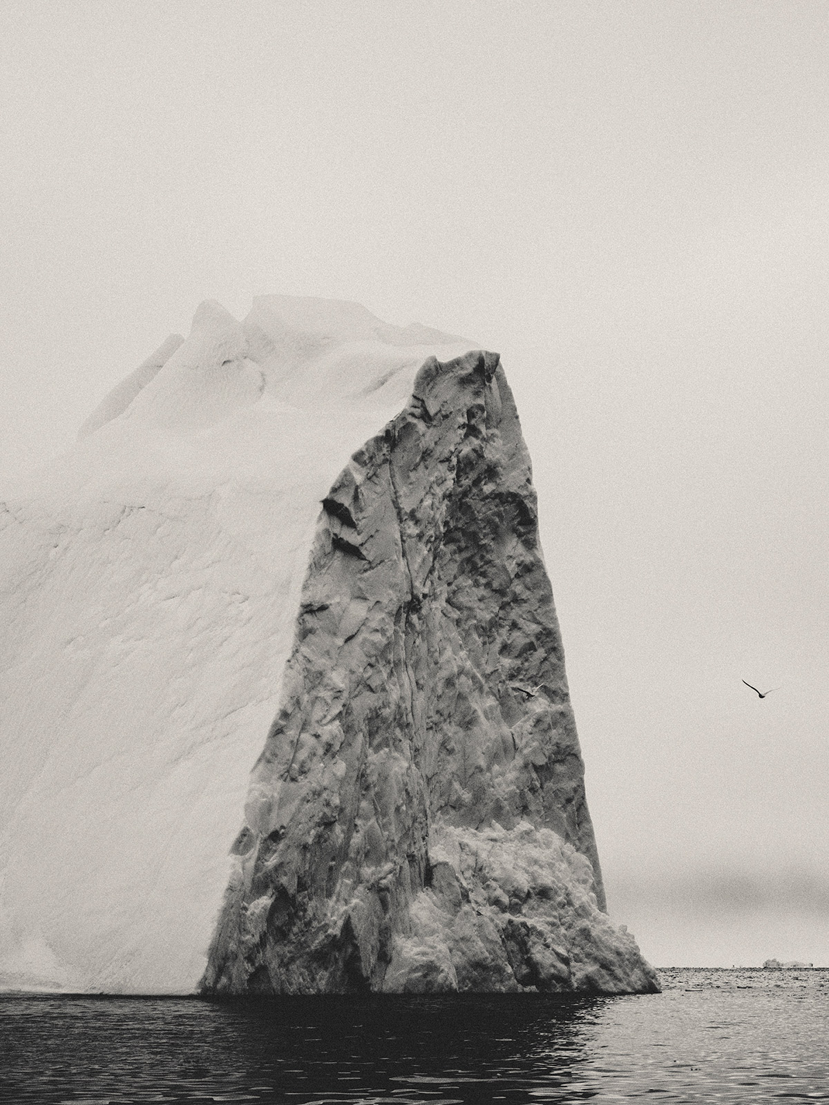 "Arctic" by Photographer Mustafah Abdulaziz