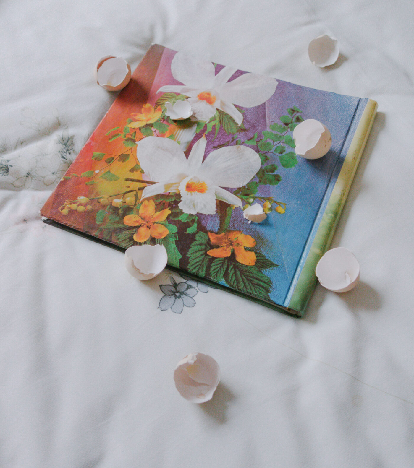 Plain Poem – BOOOOOOOM! – CREATE * INSPIRE * COMMUNITY * ART * DESIGN ...