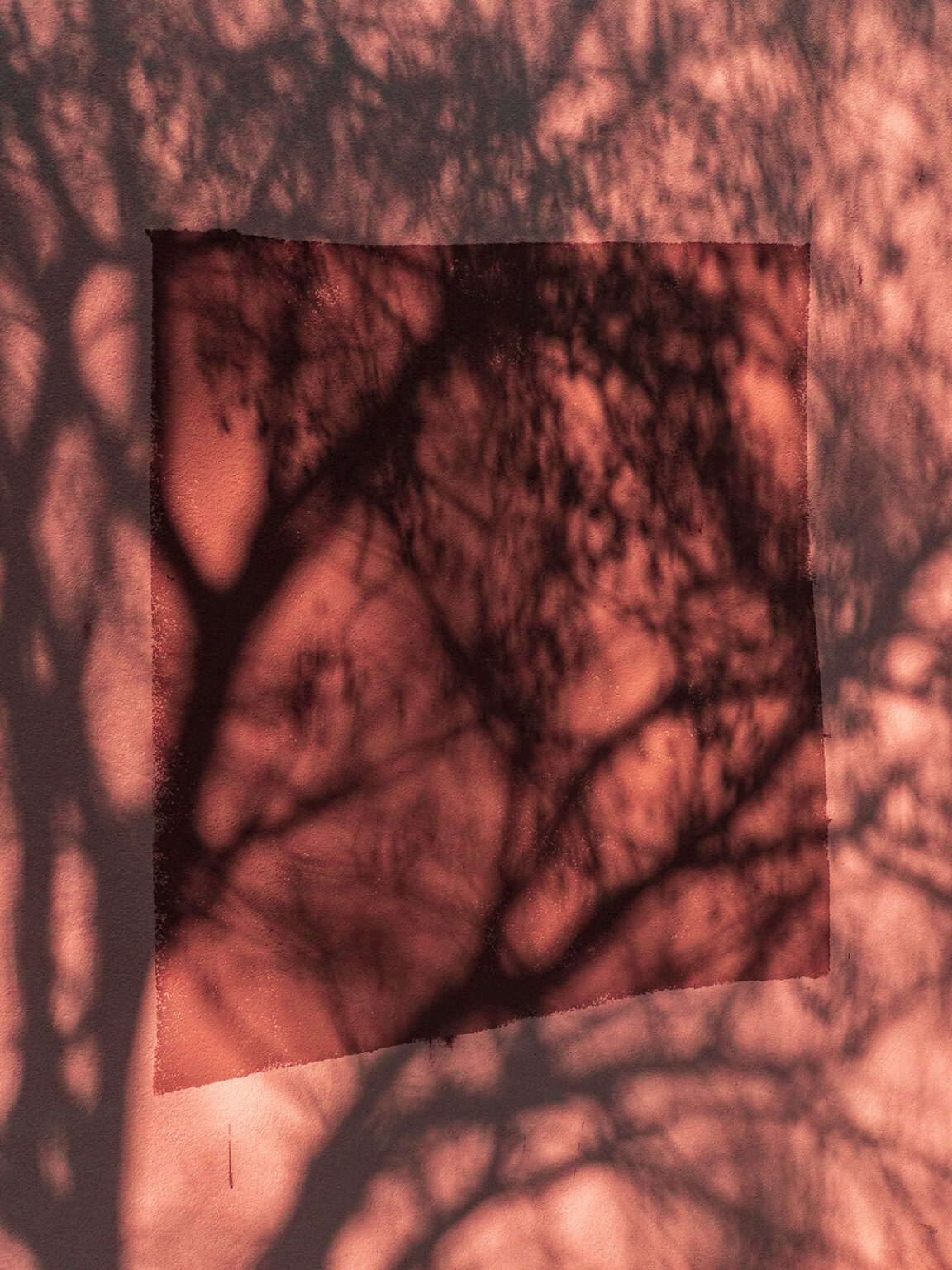 Artist Spotlight: John Zimmerman – BOOOOOOOM! – CREATE * INSPIRE ...
