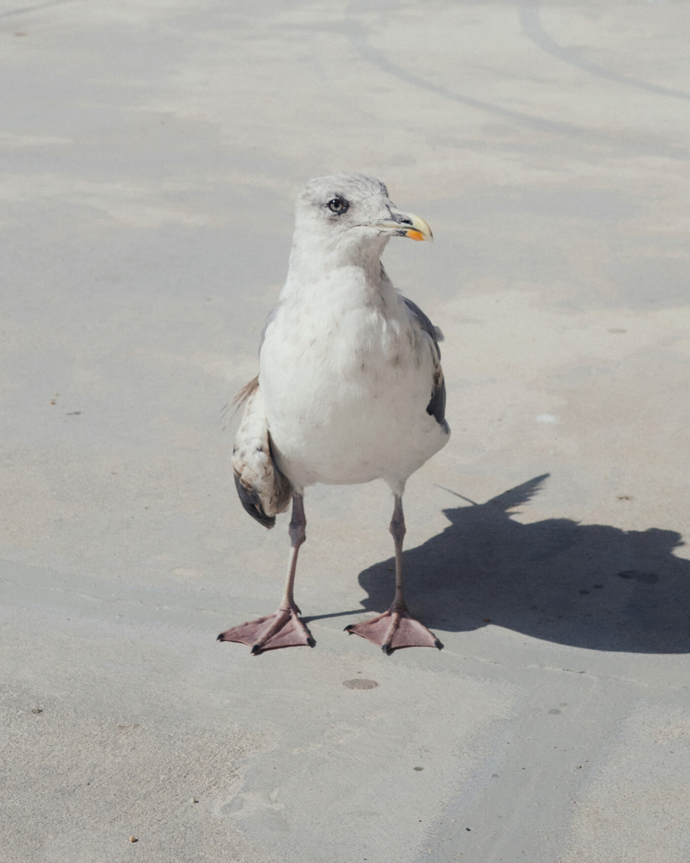 “Heat Wave” by Ariana Zukowski – BOOOOOOOM! – CREATE * INSPIRE ...