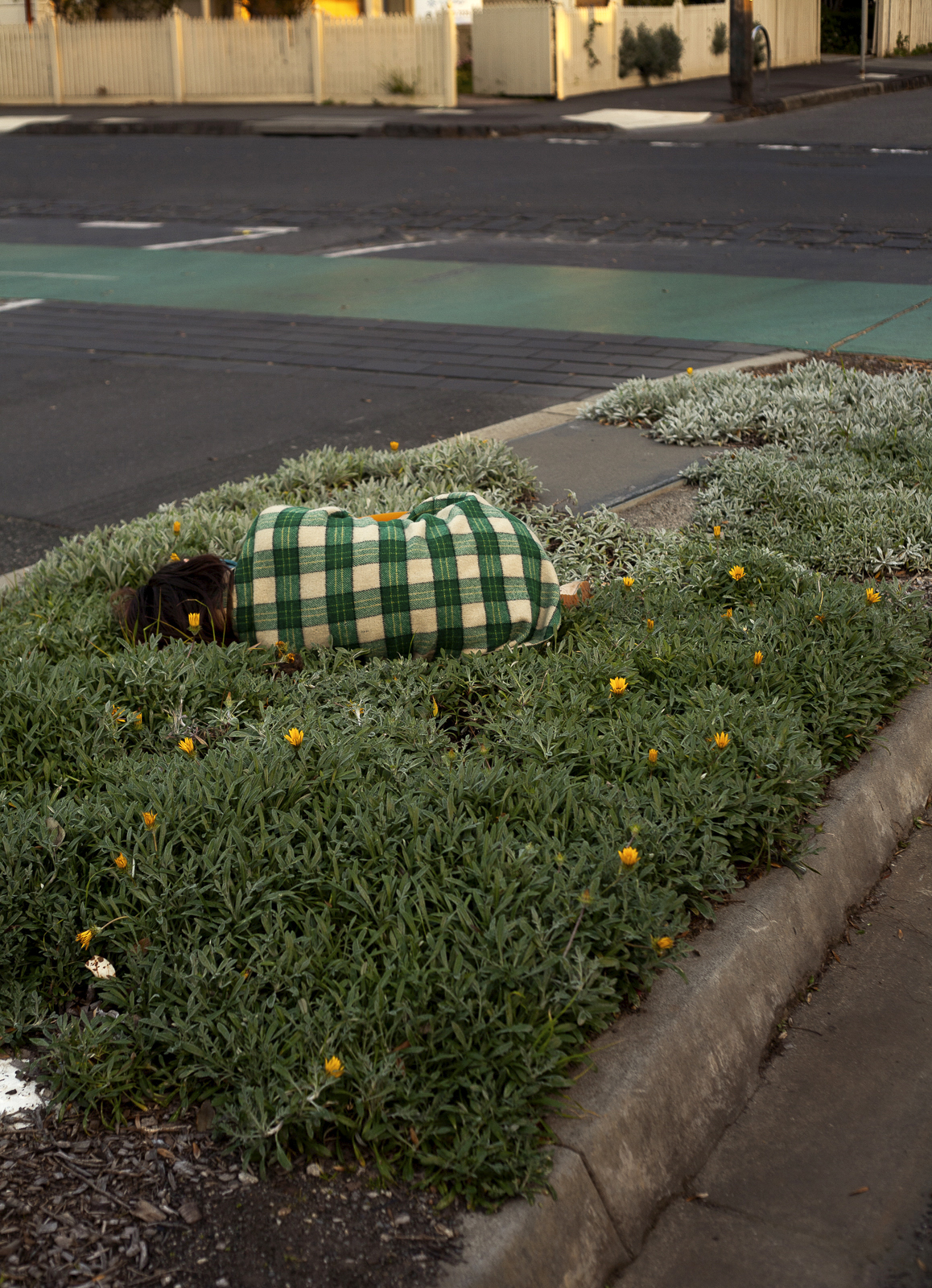 Nature Strip – BOOOOOOOM! – CREATE * INSPIRE * COMMUNITY * ART * DESIGN ...