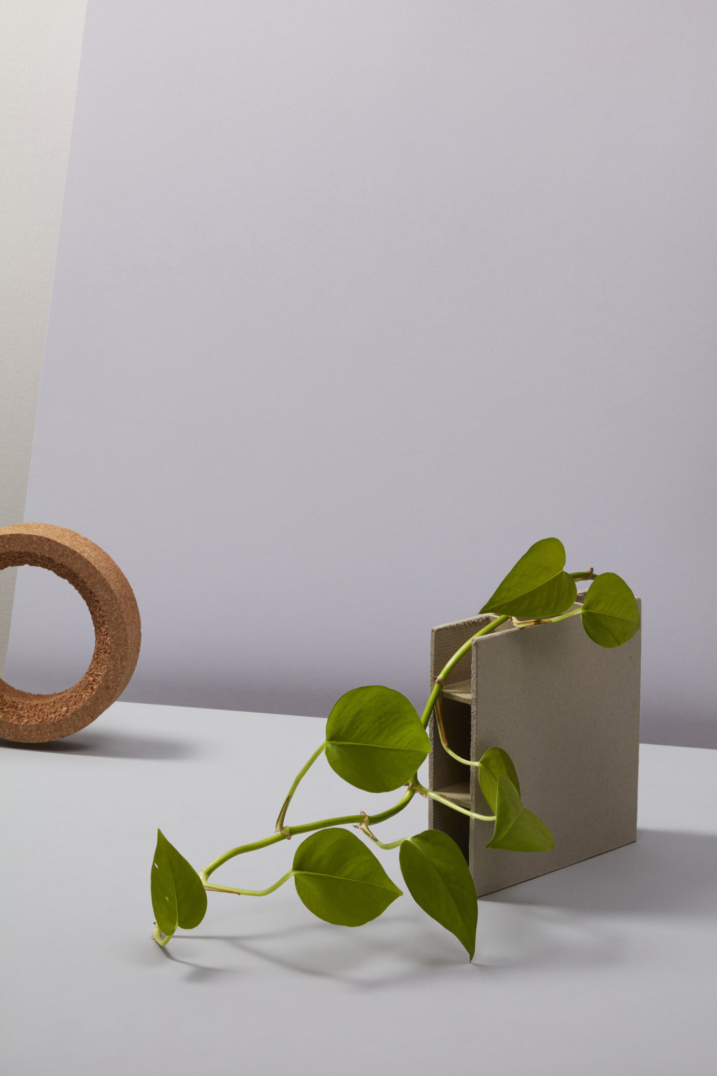 Small Nature – BOOOOOOOM! – CREATE * INSPIRE * COMMUNITY * ART * DESIGN ...