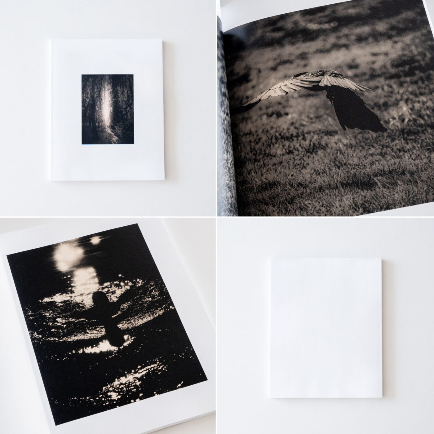 Call to Submit: Booooooom Art & Photo Book Award