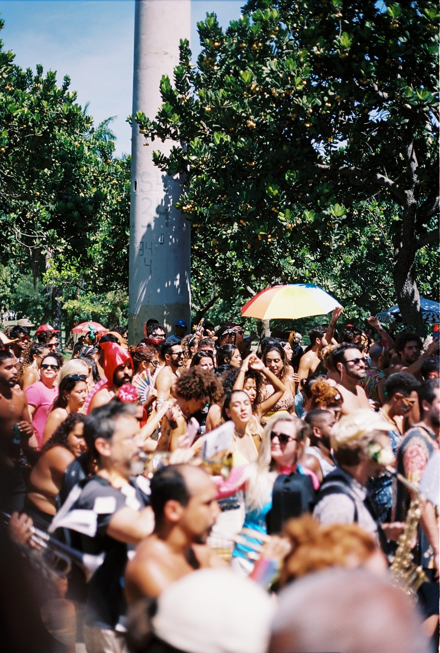 ”Tropicália” by Edison Alcaide – BOOOOOOOM! – CREATE * INSPIRE ...