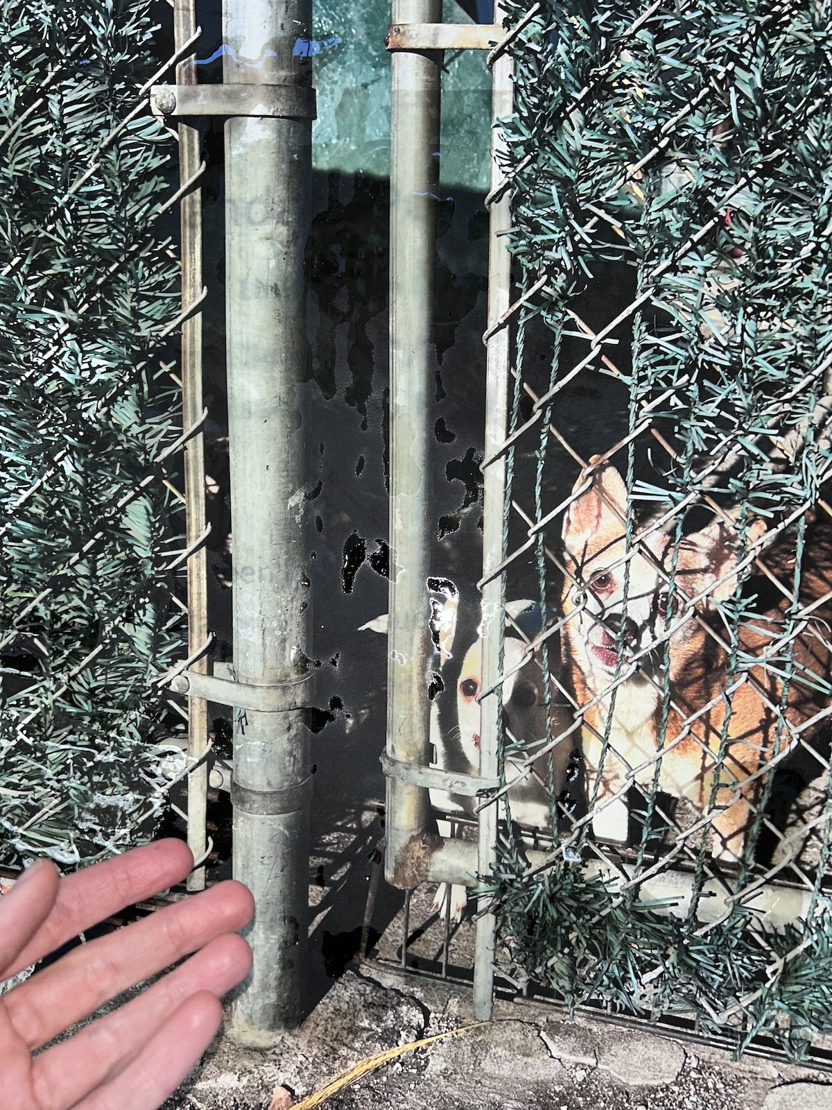 searching for truth – BOOOOOOOM! – CREATE * INSPIRE * COMMUNITY * ART ...