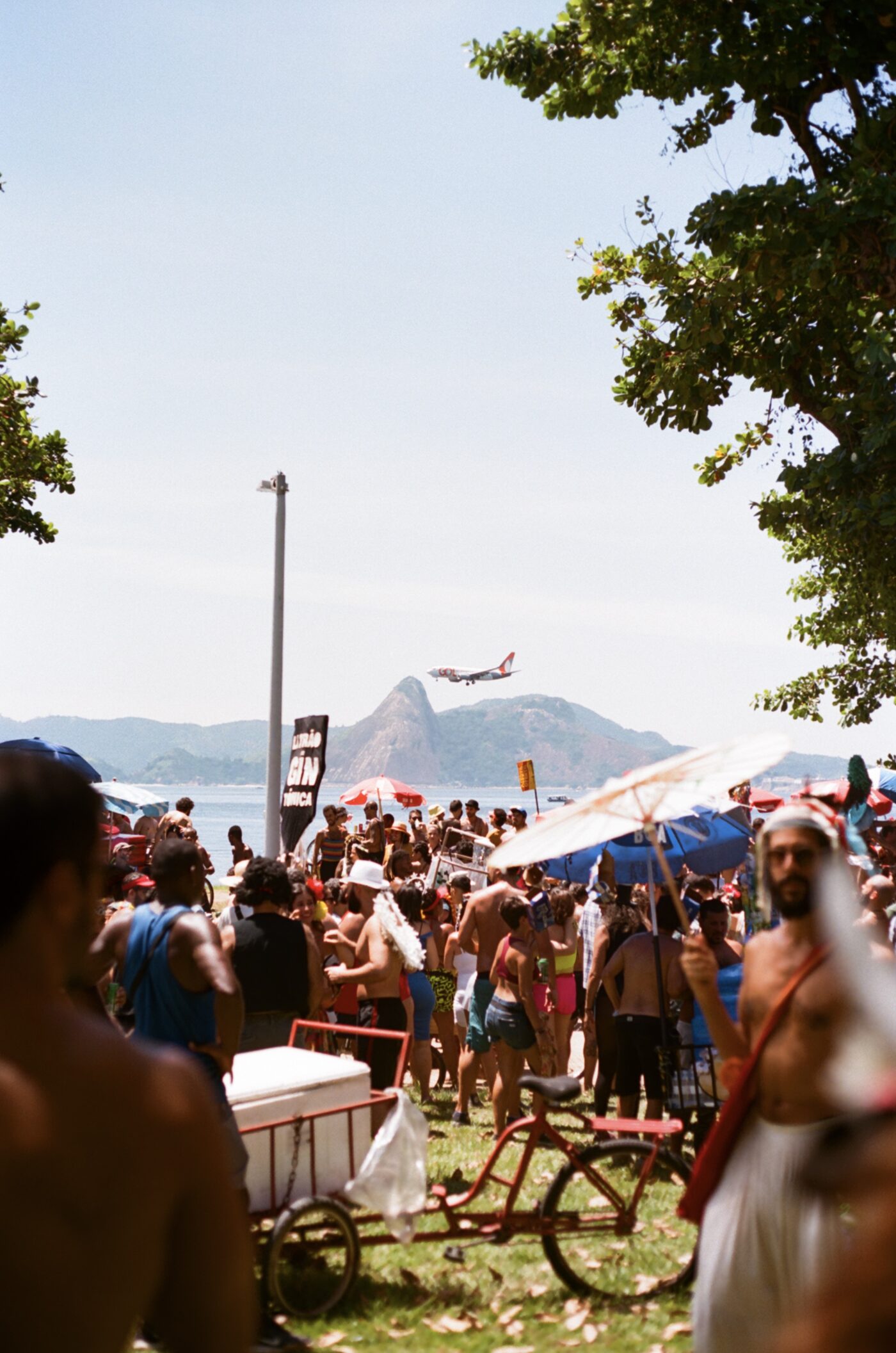 ”Tropicália” by Edison Alcaide – BOOOOOOOM! – CREATE * INSPIRE ...