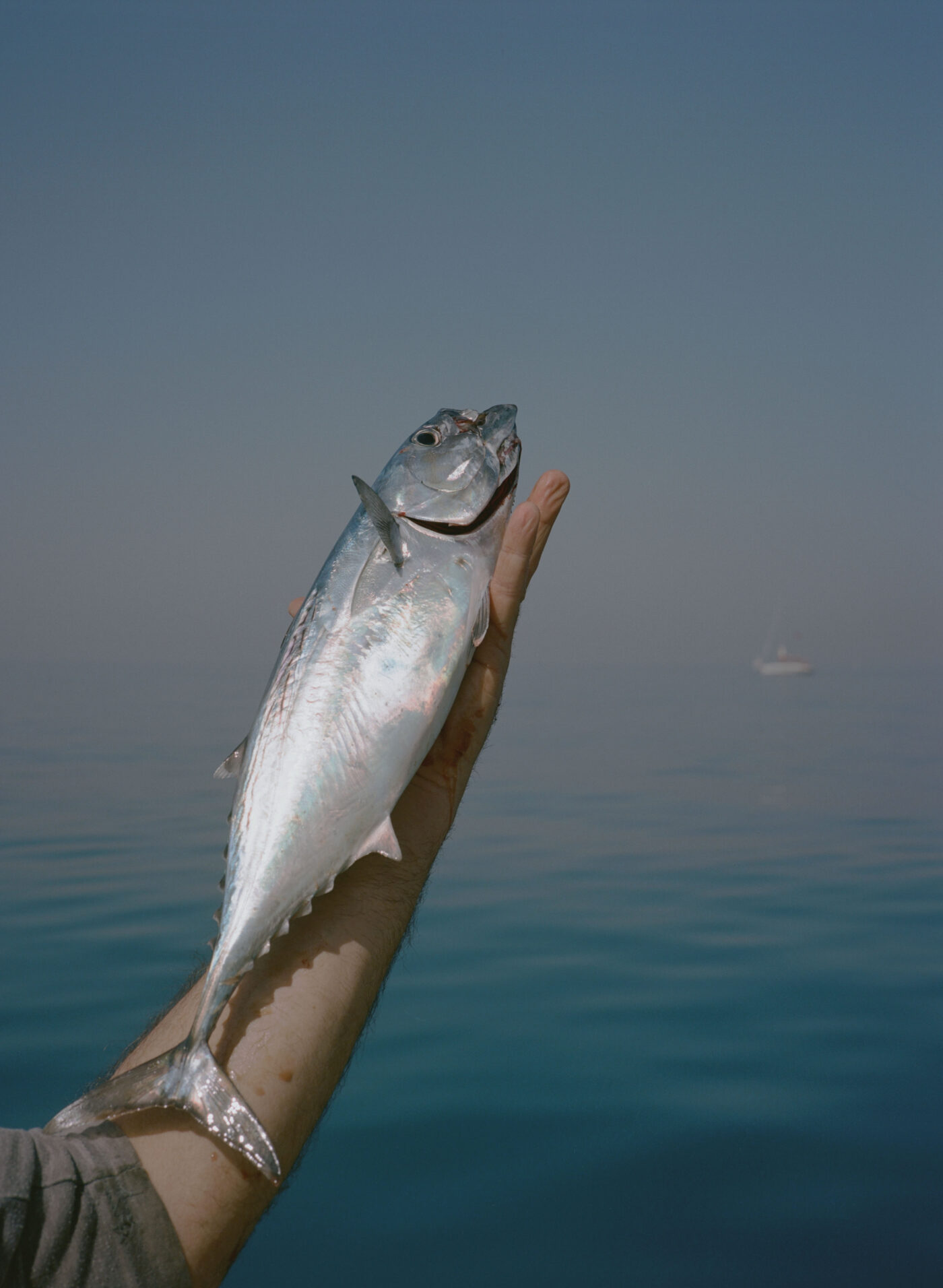 Tal Brushel – BOOOOOOOM! – CREATE * INSPIRE * COMMUNITY * ART * DESIGN ...