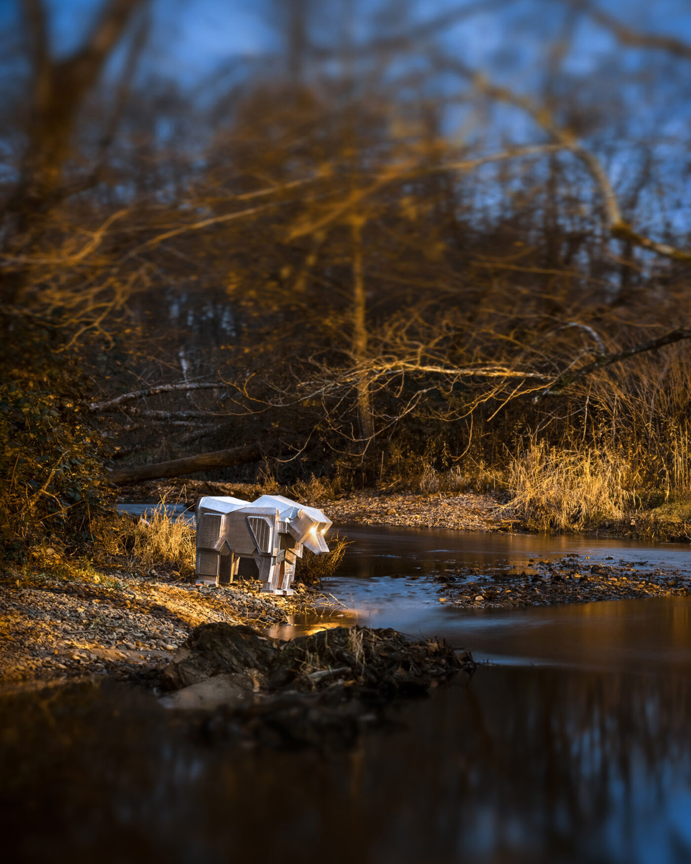 “Ghosts of Forest Future” Series by James Alfred Friesen – BOOOOOOOM ...