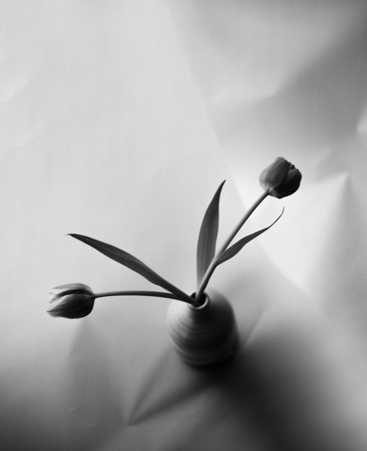 “Understating Grief” – BOOOOOOOM! – CREATE * INSPIRE * COMMUNITY * ART ...