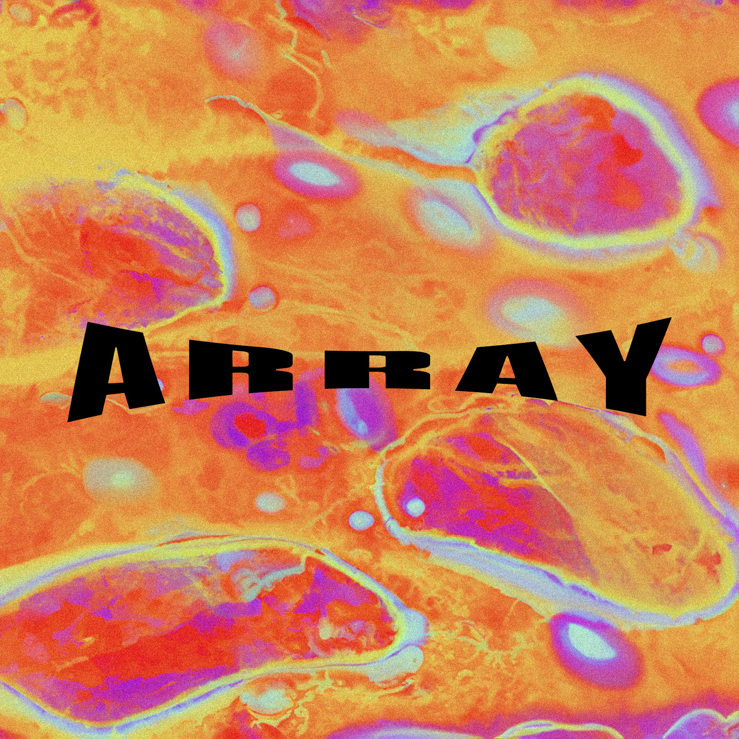 Call to Submit: "Array" Photo & Art Features