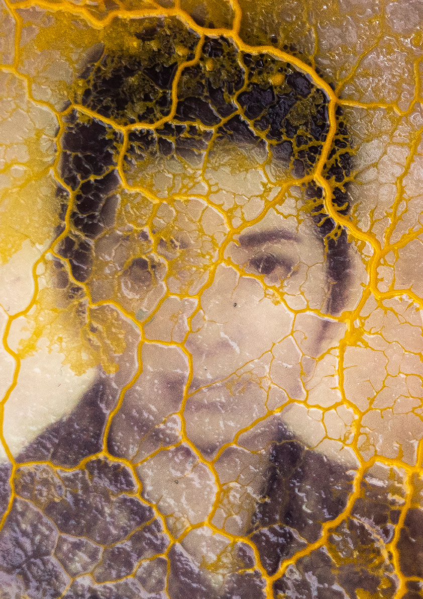 Genetic Memory – What do we carry down from our ancestors? – BOOOOOOOM ...
