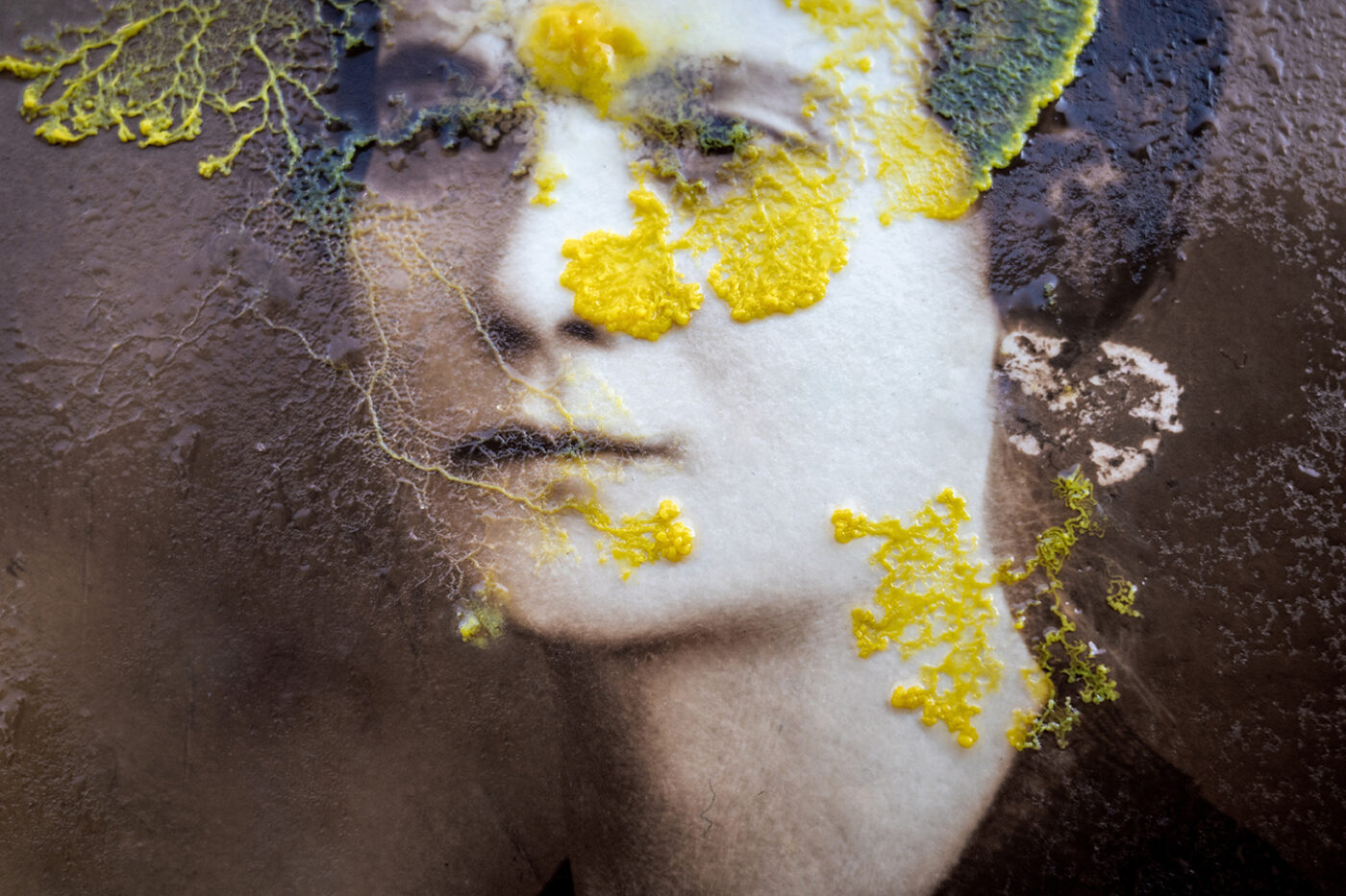 Genetic Memory – What do we carry down from our ancestors? – BOOOOOOOM ...