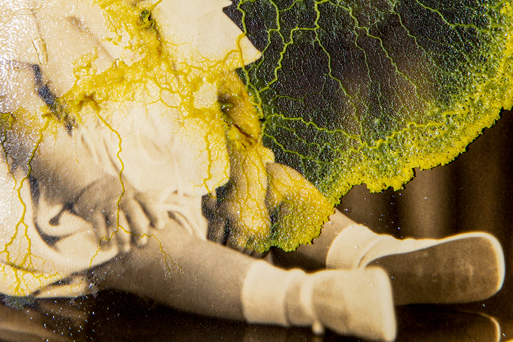 Genetic Memory – What do we carry down from our ancestors? – BOOOOOOOM ...