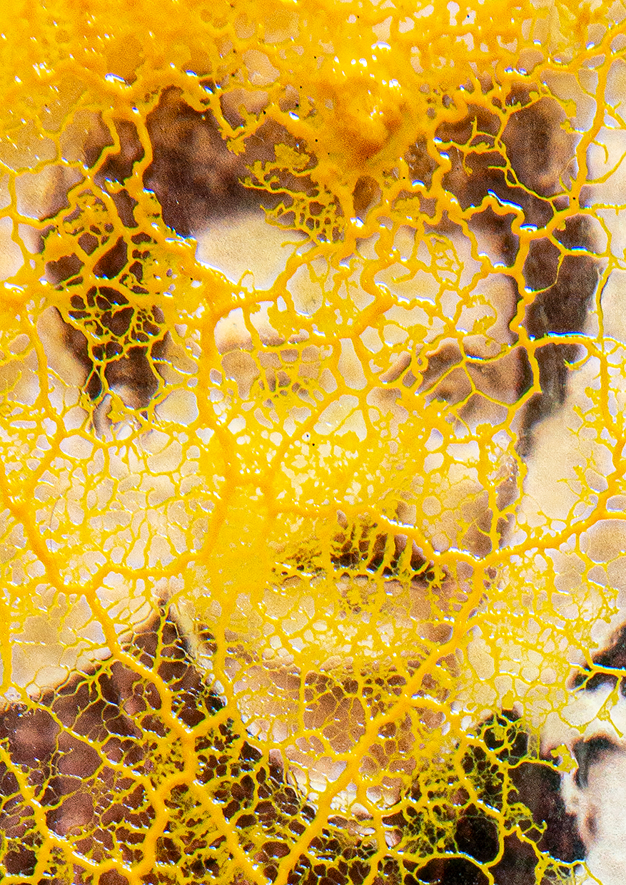 Genetic Memory – What do we carry down from our ancestors? – BOOOOOOOM ...