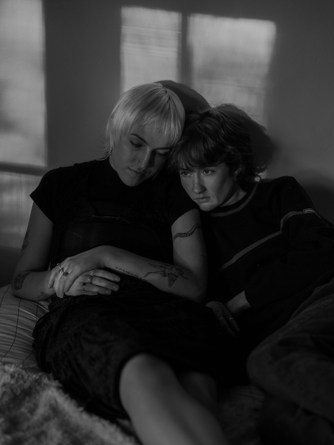 "The Oak Echoes" by Photographer Stephen Ross Goldstein