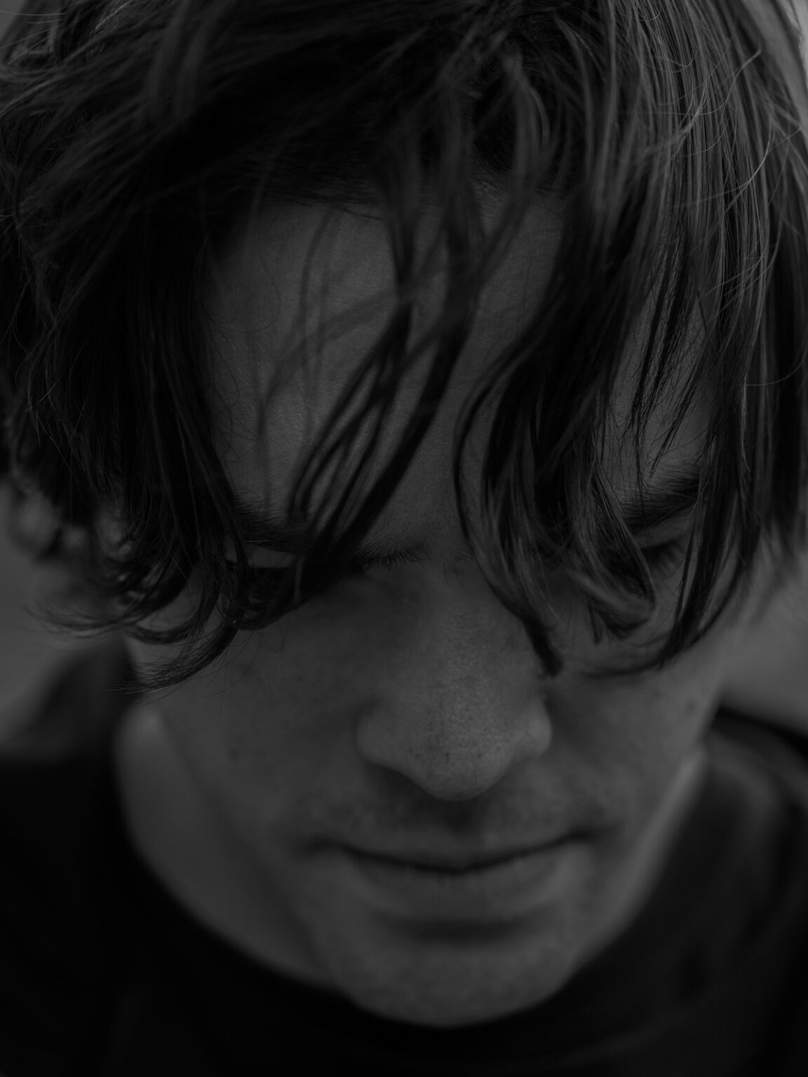 "The Oak Echoes" by Photographer Stephen Ross Goldstein