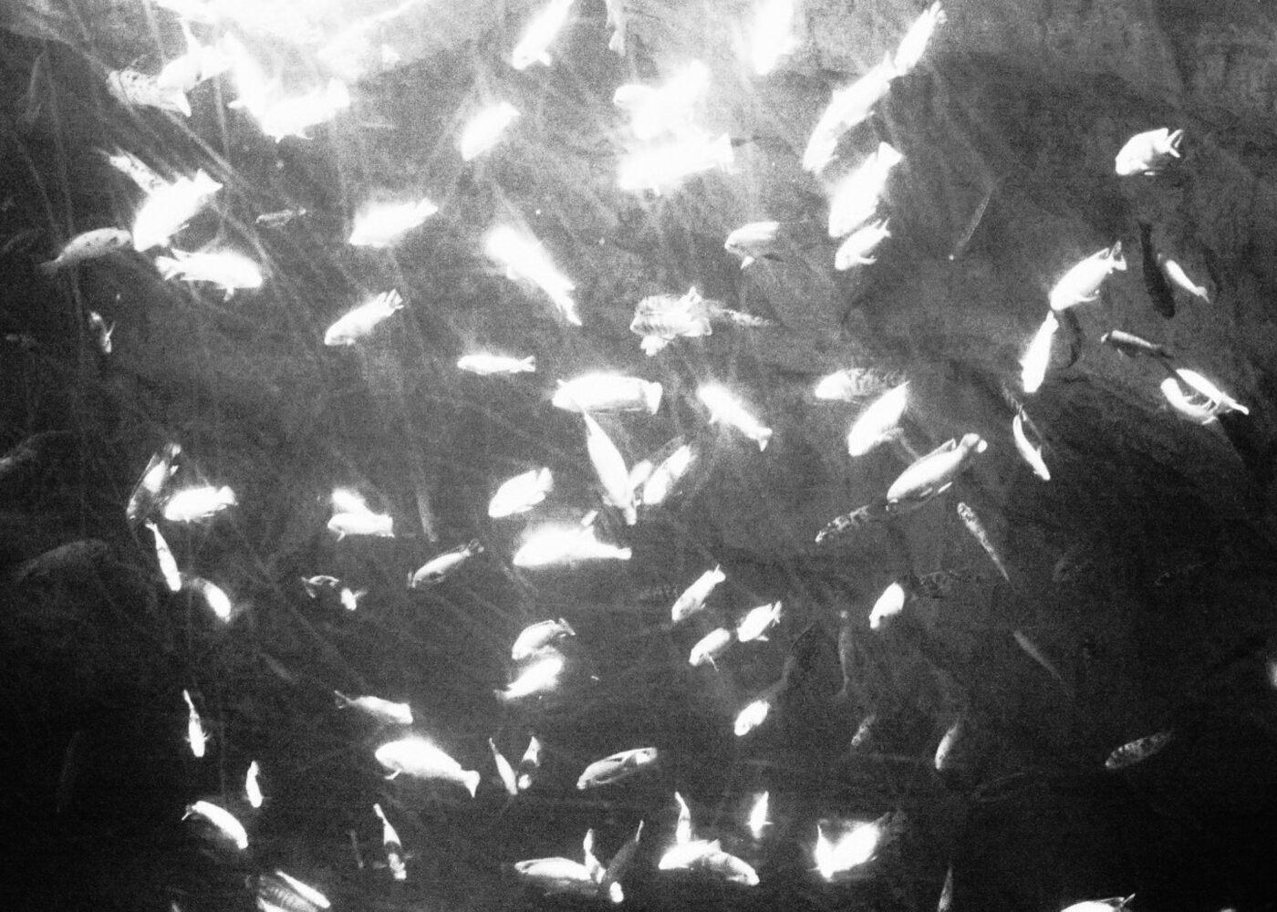 The Spectacle Experiment – BOOOOOOOM! – CREATE * INSPIRE * COMMUNITY ... The Spectacle Experiment – BOOOOOOOM! – CREATE * INSPIRE * COMMUNITY ...