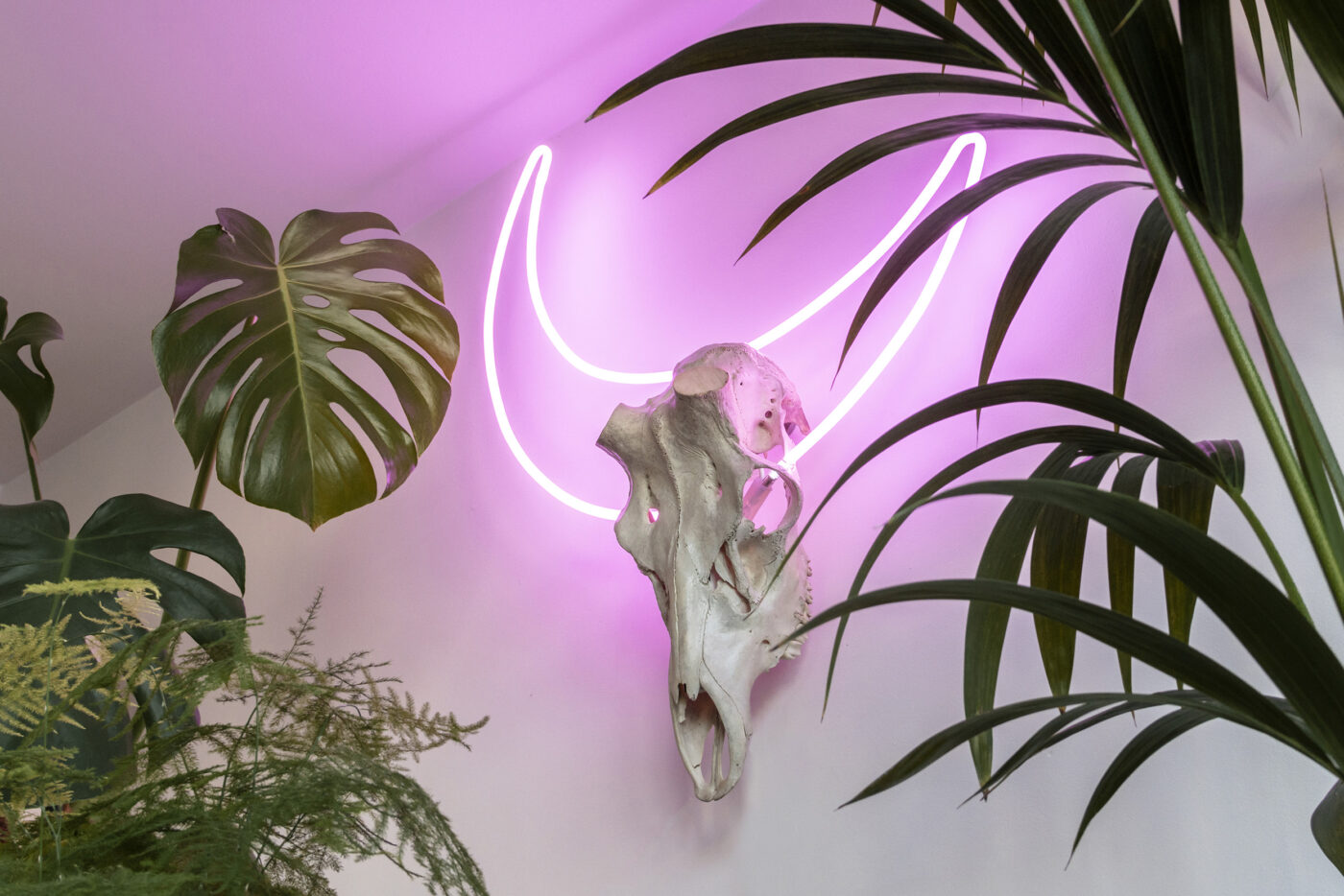 Light After Death – BOOOOOOOM! – CREATE * INSPIRE * COMMUNITY * ART ...