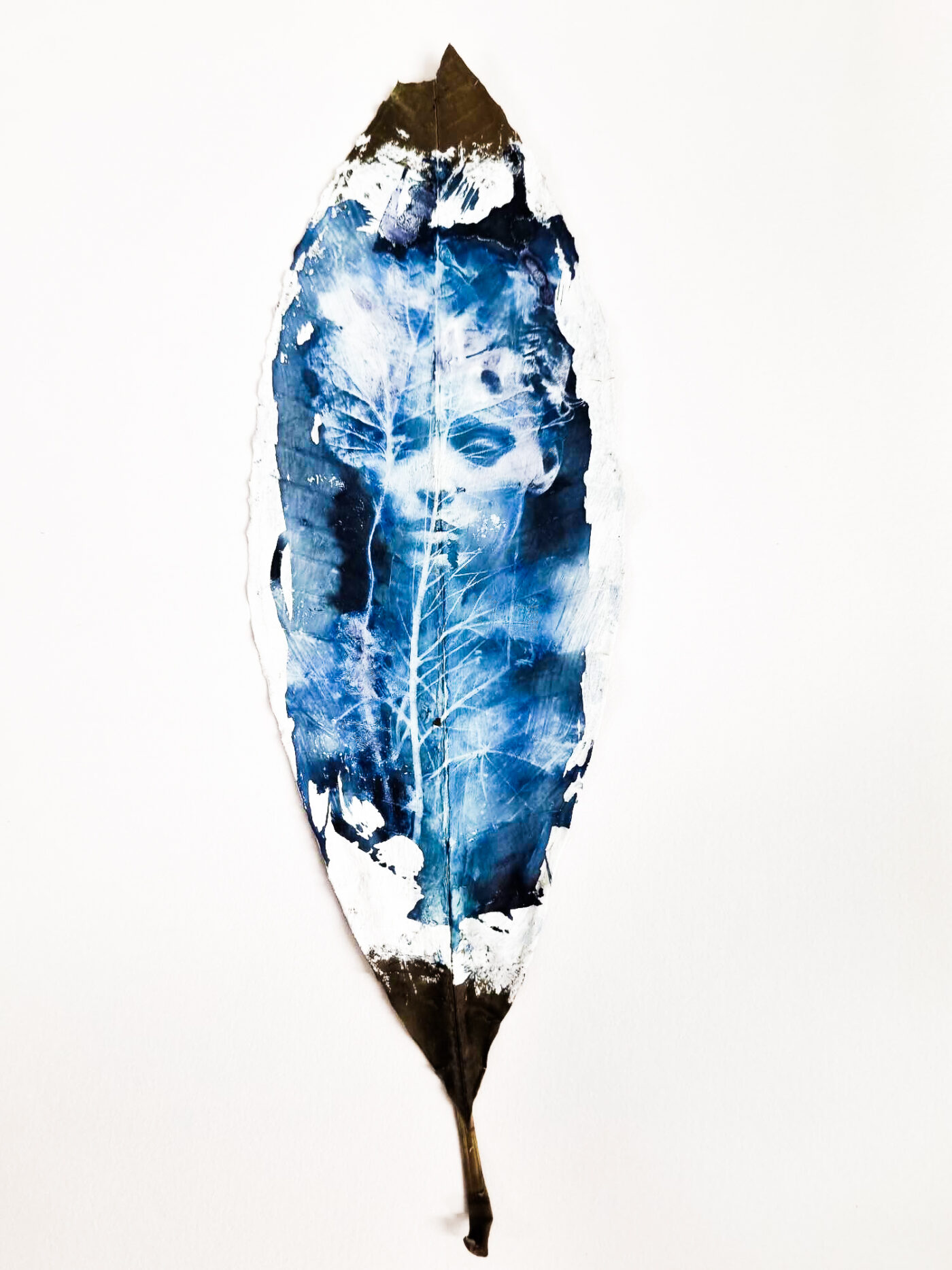 Light Imprint – BOOOOOOOM! – CREATE * INSPIRE * COMMUNITY * ART ...