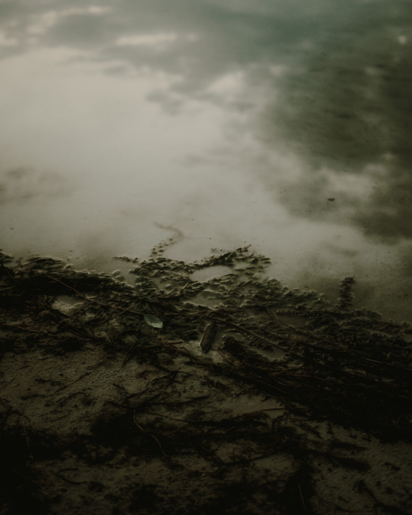 Undine – BOOOOOOOM! – CREATE * INSPIRE * COMMUNITY * ART * DESIGN * MUSIC * FILM * PHOTO * PROJECTS