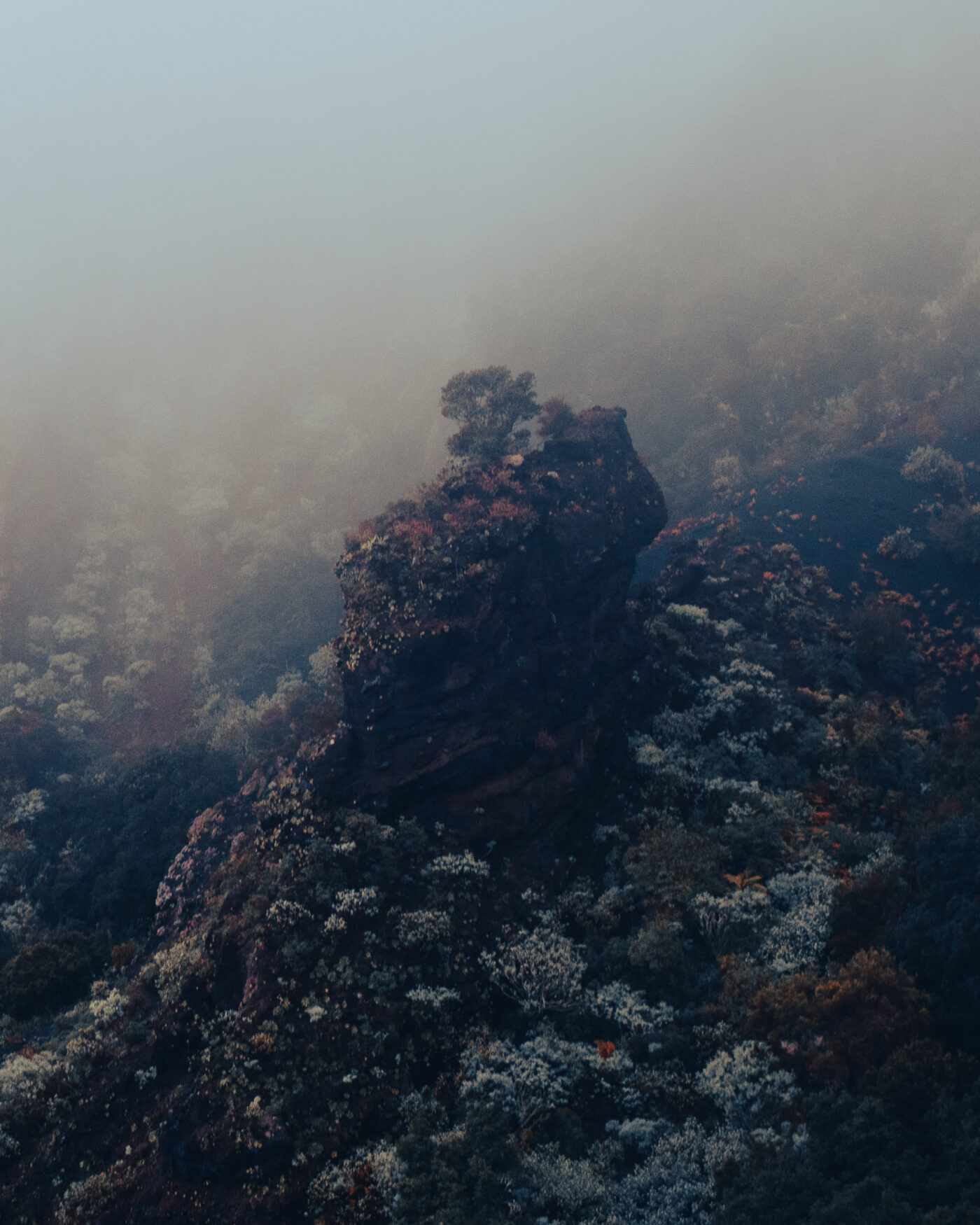 Undine – BOOOOOOOM! – CREATE * INSPIRE * COMMUNITY * ART * DESIGN * MUSIC * FILM * PHOTO * PROJECTS