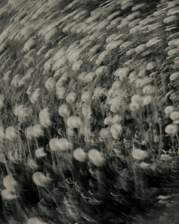 Photographer Spotlight: Katrine Noer – BOOOOOOOM! – CREATE * INSPIRE ...