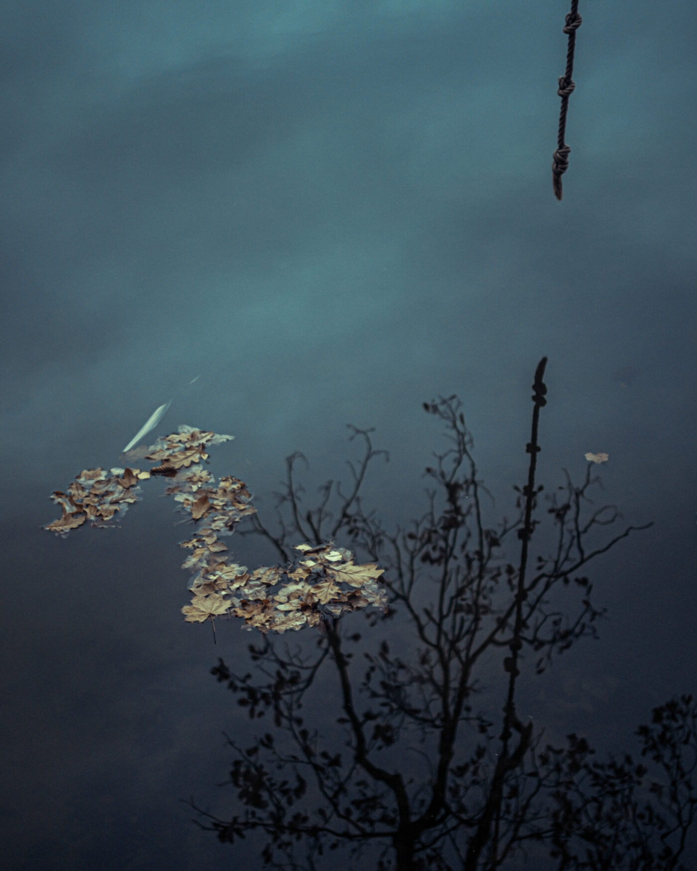 Silent Symphony – BOOOOOOOM! – CREATE * INSPIRE * COMMUNITY * ART ...