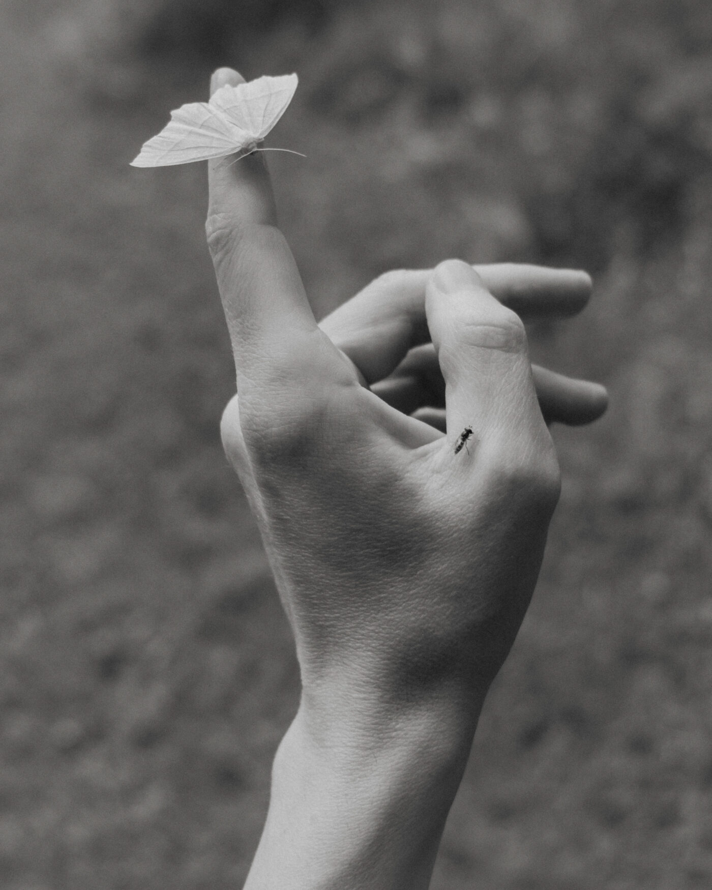 Silent Symphony – BOOOOOOOM! – CREATE * INSPIRE * COMMUNITY * ART ...