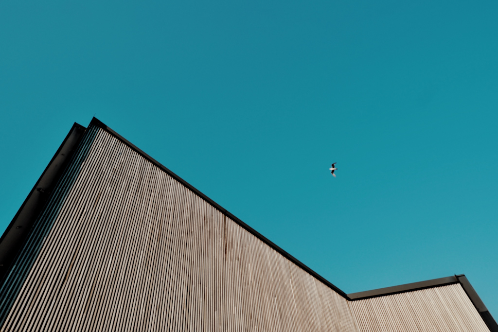 Graphics Chromatics – BOOOOOOOM! – CREATE * INSPIRE * COMMUNITY * ART ...