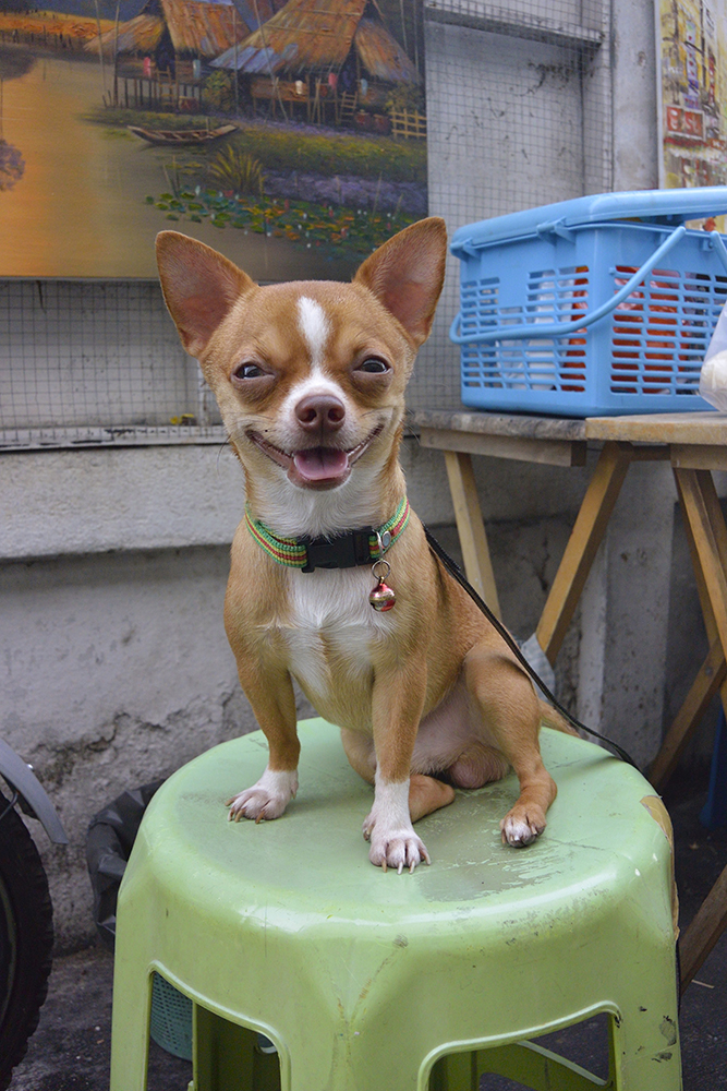 Human Trip – BOOOOOOOM! – CREATE * INSPIRE * COMMUNITY * ART * DESIGN * MUSIC * FILM * PHOTO ...