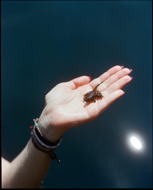 "Solemn August" by Photographer Whitney Hayes