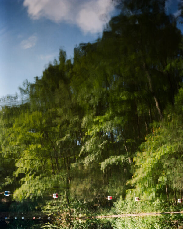 "Solemn August" by Photographer Whitney Hayes