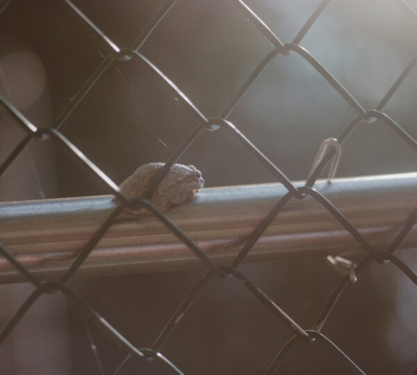 "Solemn August" by Photographer Whitney Hayes