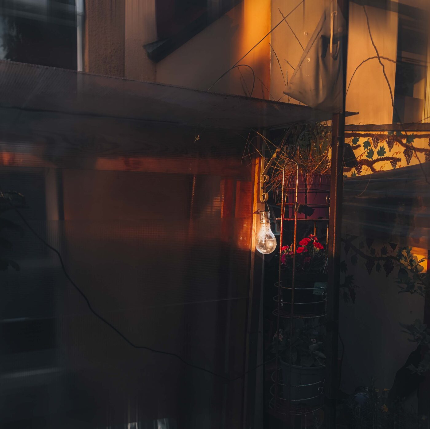enjoying nice light – BOOOOOOOM! – CREATE * INSPIRE * COMMUNITY * ART ...