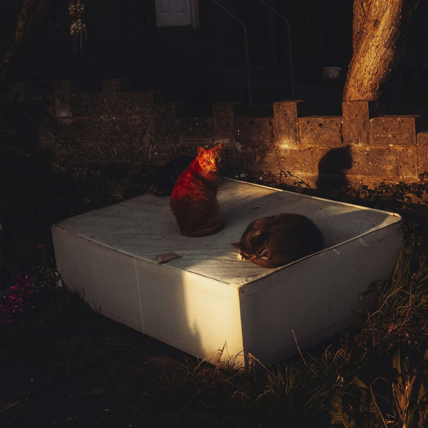 enjoying nice light – BOOOOOOOM! – CREATE * INSPIRE * COMMUNITY * ART ...